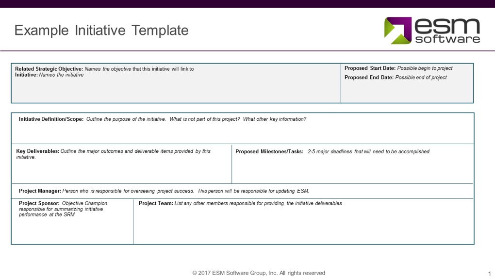 Examples of Strategic Initiatives: Examples of Strategic Initiatives: